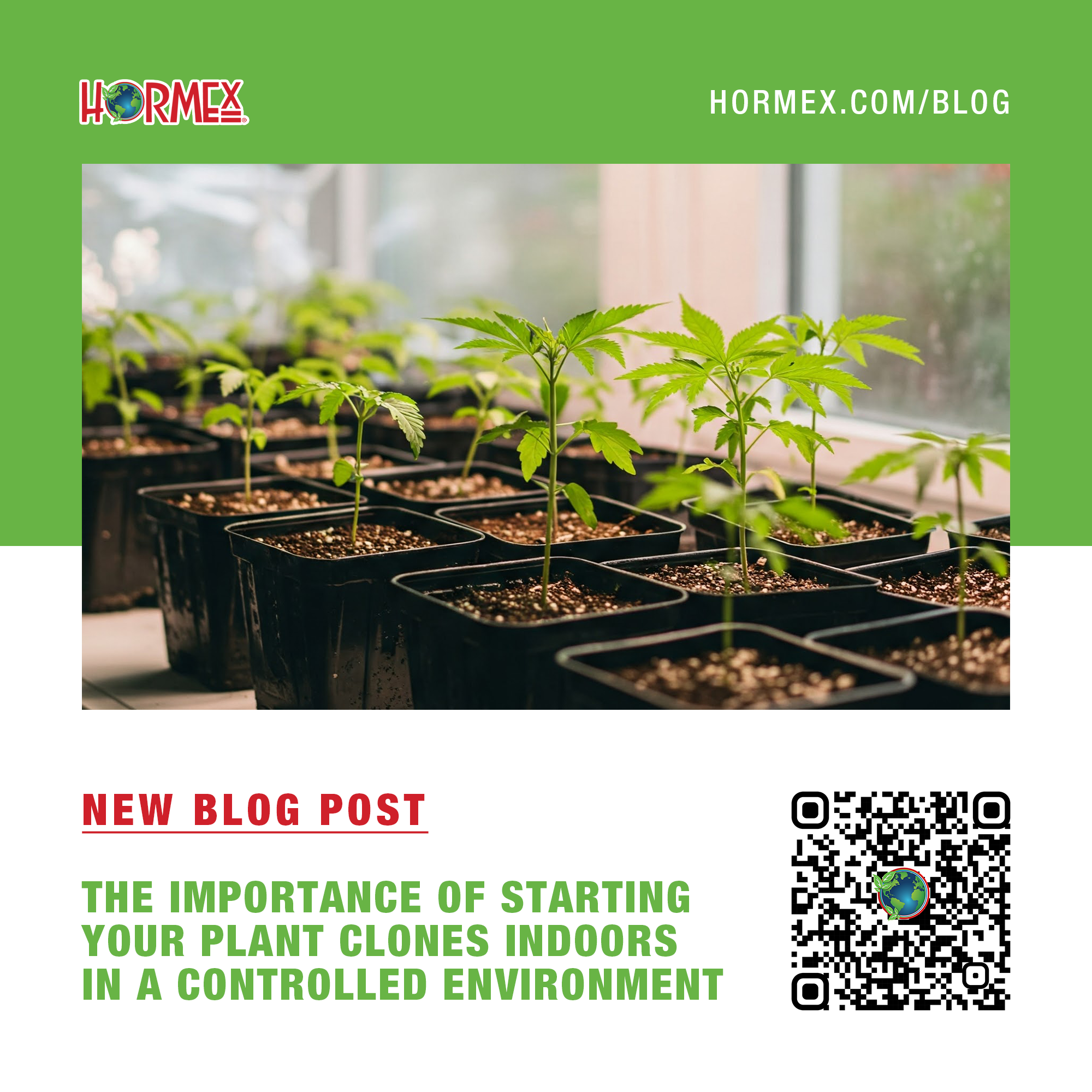 The Importance of Starting Your Plant Clones Indoors – HORMEX