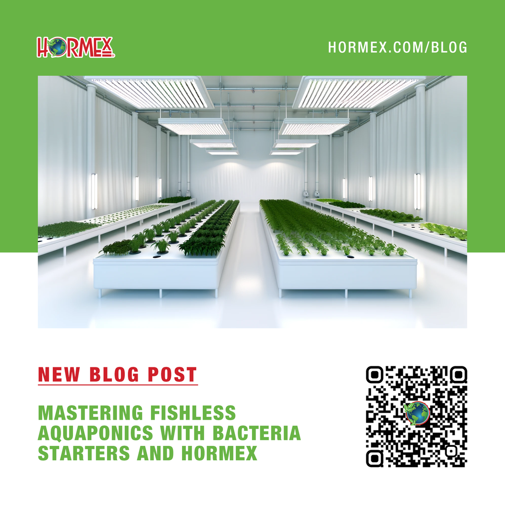 Mastering Fishless Aquaponics with Bacteria Starters and Hormex | HORMEX