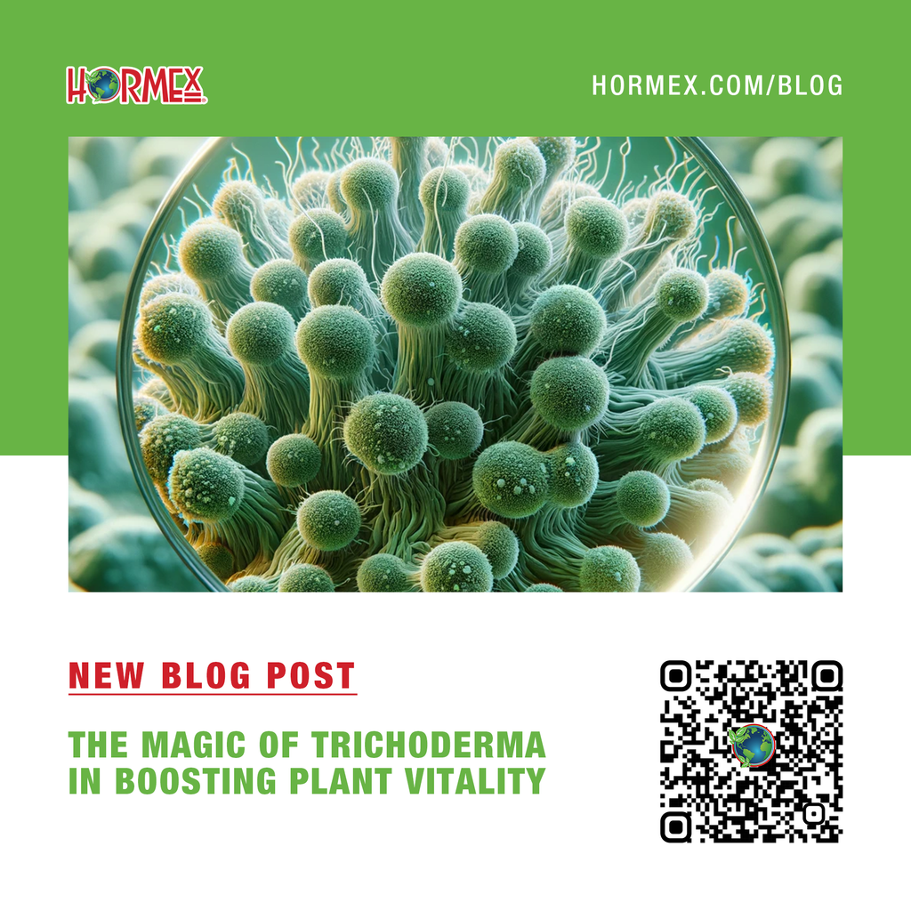 The Magic of Trichoderma in Boosting Plant Vitality | HORMEX