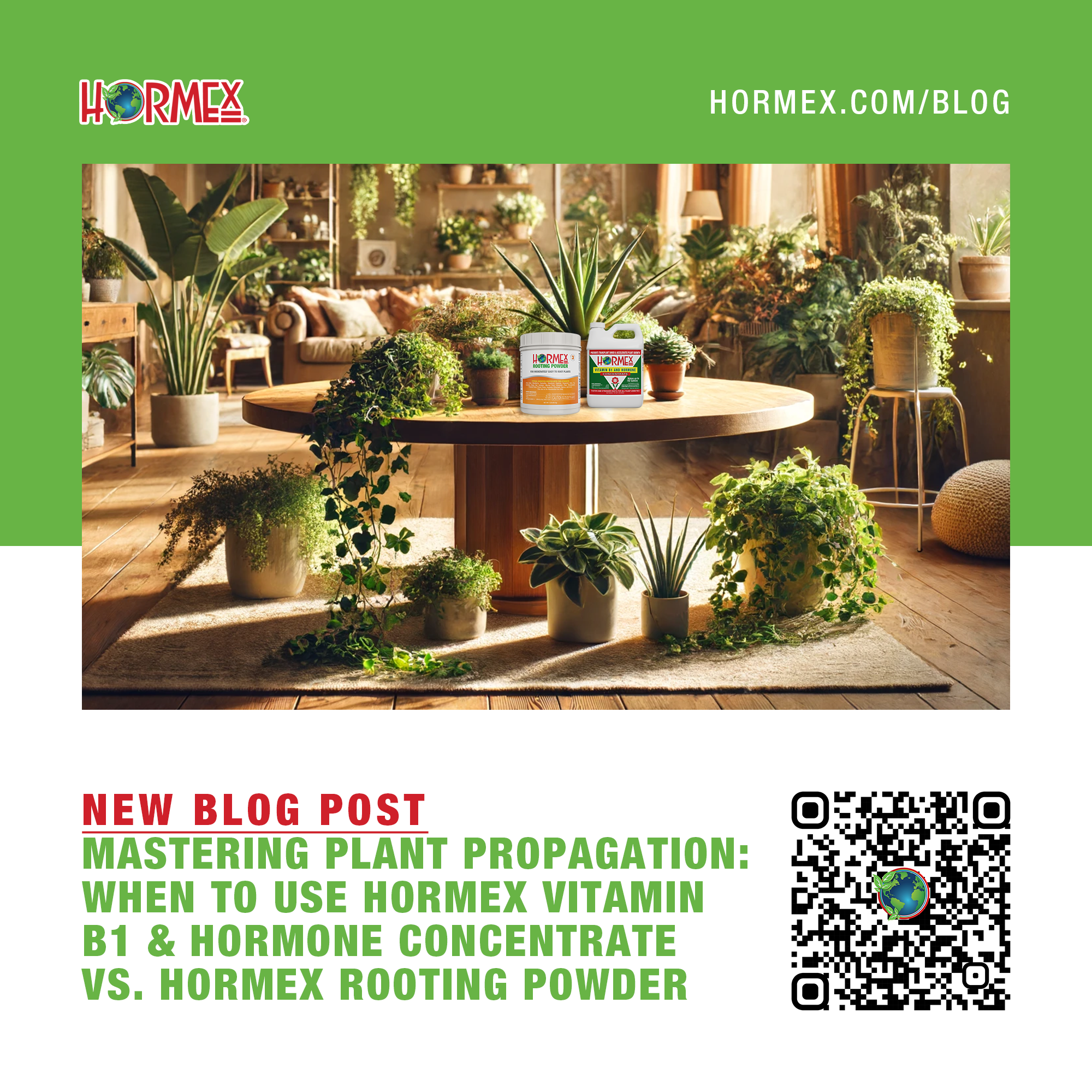 Hormex Vitamin B1 & Hormone Concentrate vs. Hormex Rooting Powder – HORMEX