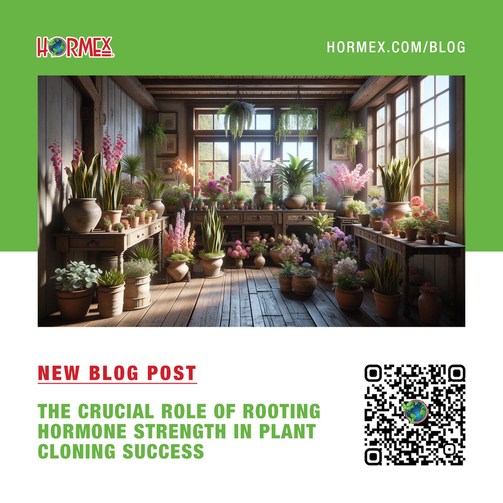 The Crucial Role of Rooting Hormone Strength in Plant Cloning Success ...