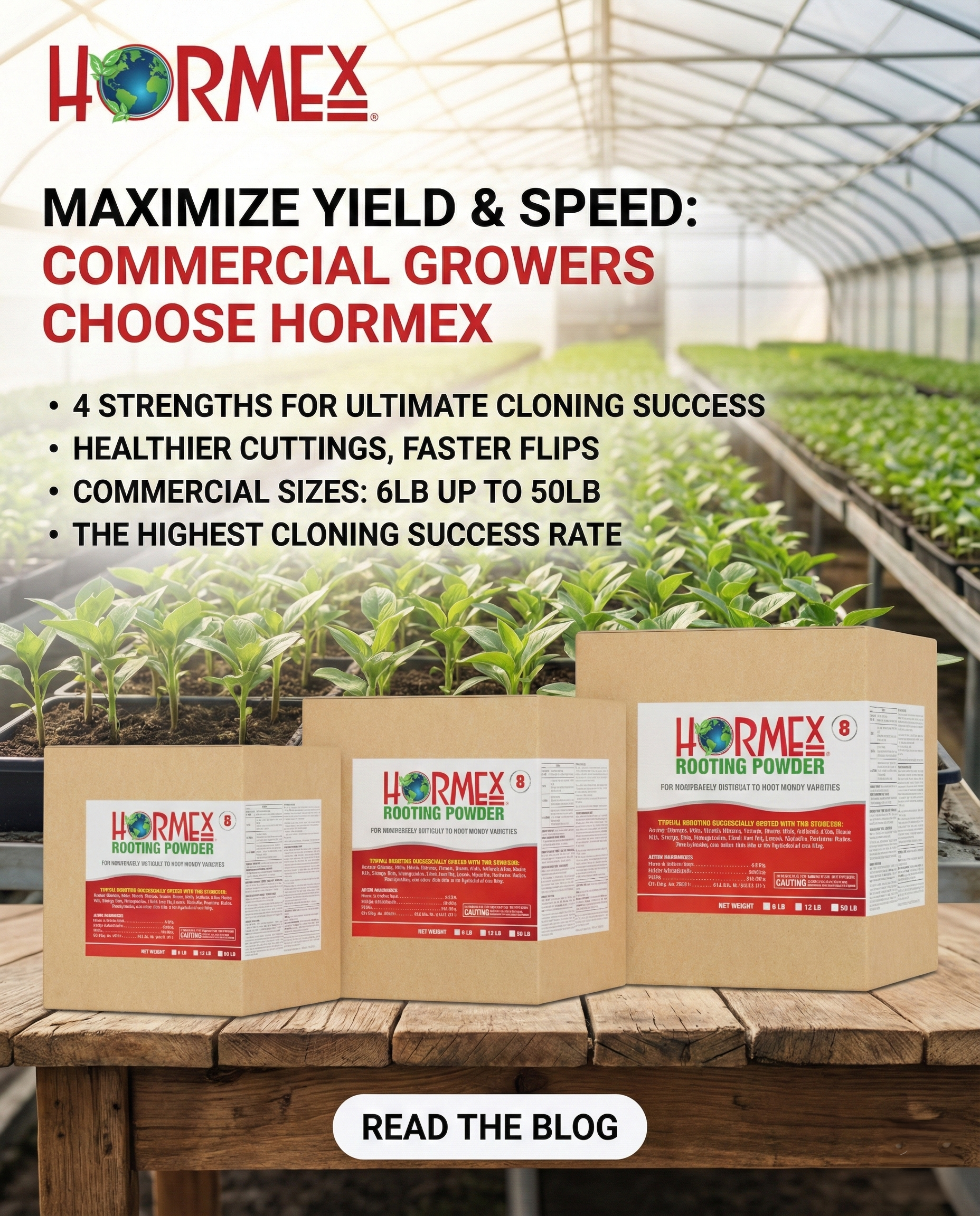 Why Commercial Growers are Switching to Hormex Rooting Powders – HORMEX