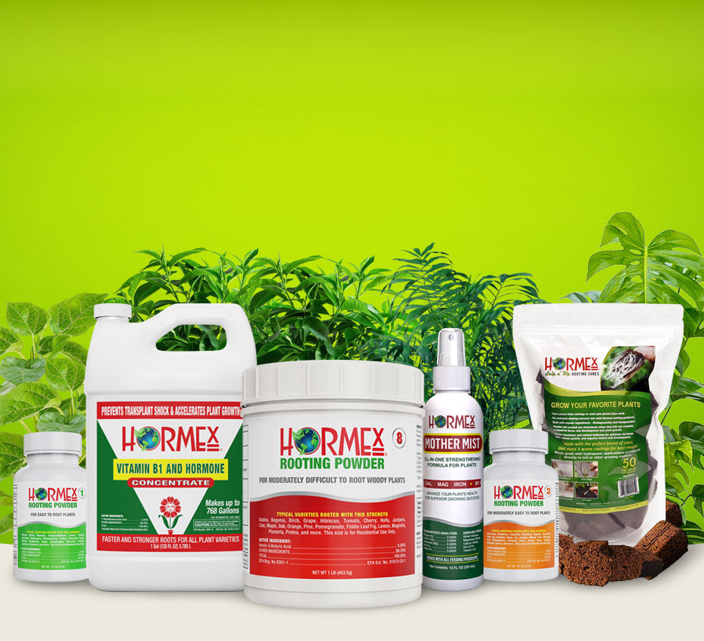 Rooting Powders – HORMEX