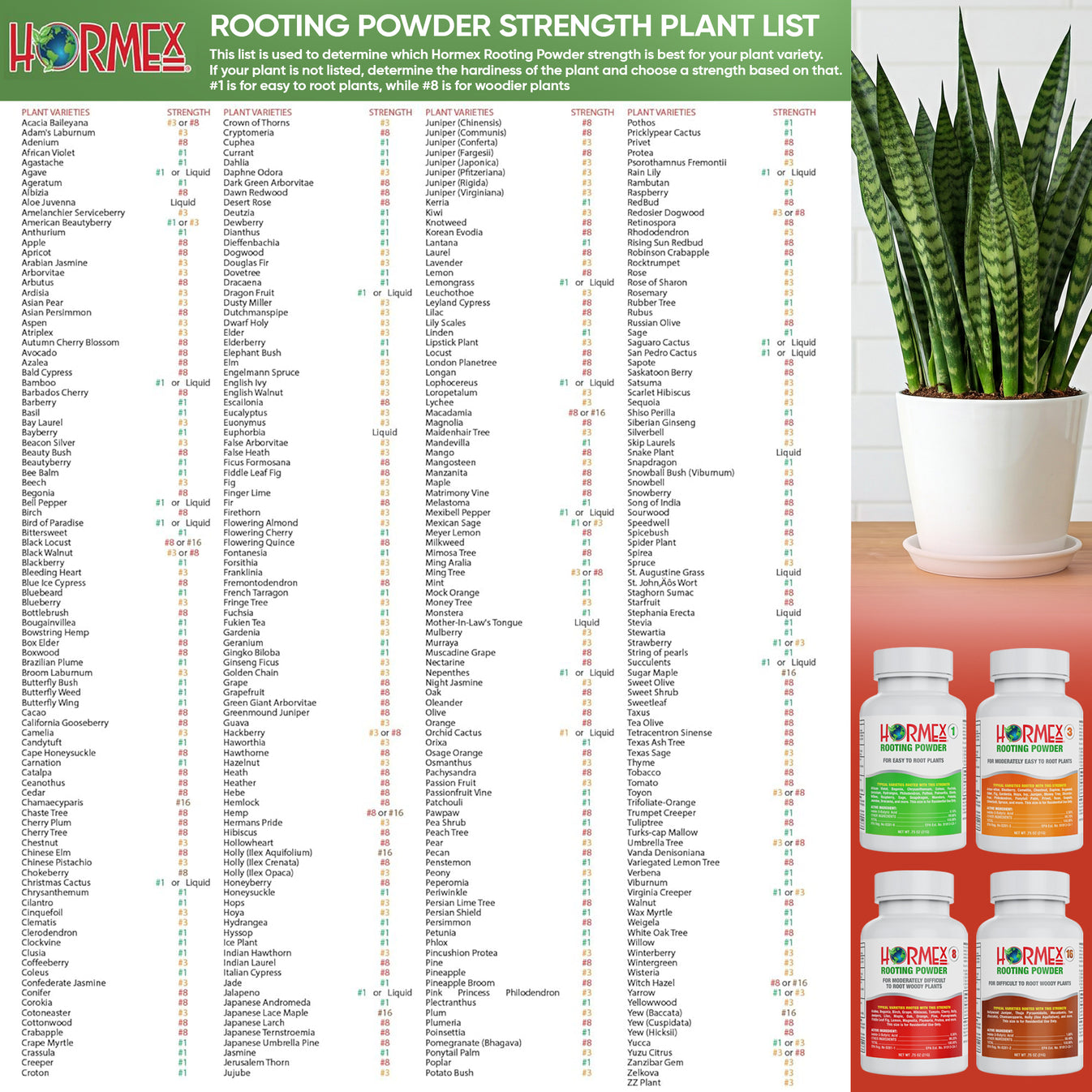 Hormex Rooting Powder Pack #1 3 8 - Rooting Hormone – HORMEX