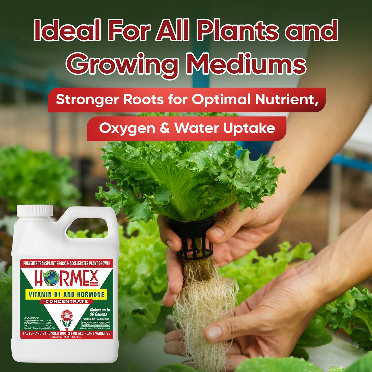 Hormex Vitamin B1 and Rooting Hormone Concentrate – HORMEX