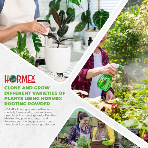 Hormex Rooting Powder #16 (1.6 IBA) - Rooting Hormone – HORMEX