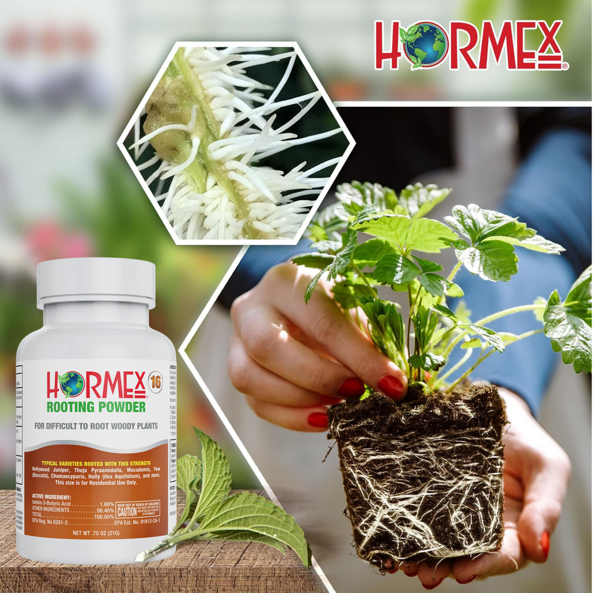 Hormex Rooting Powder #16 (1.6 IBA) - Rooting Hormone – HORMEX