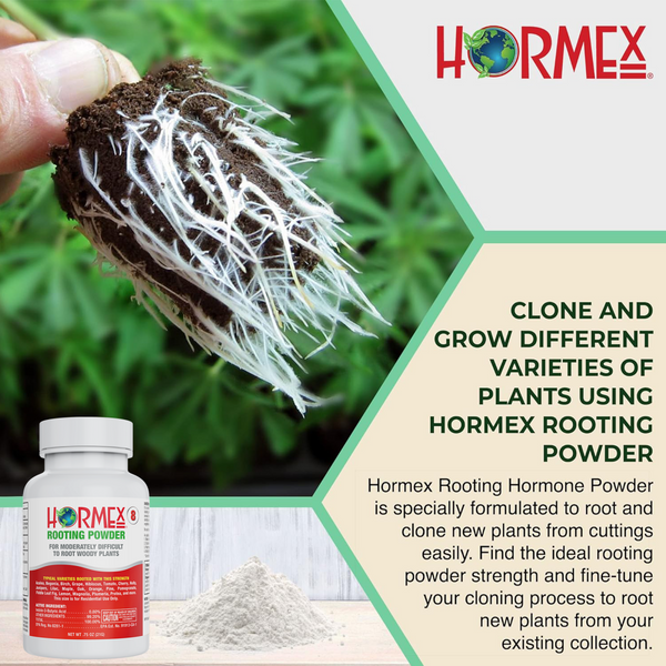 Hormex Rooting Powder #8 (0.8 IBA) - Rooting Hormone – HORMEX