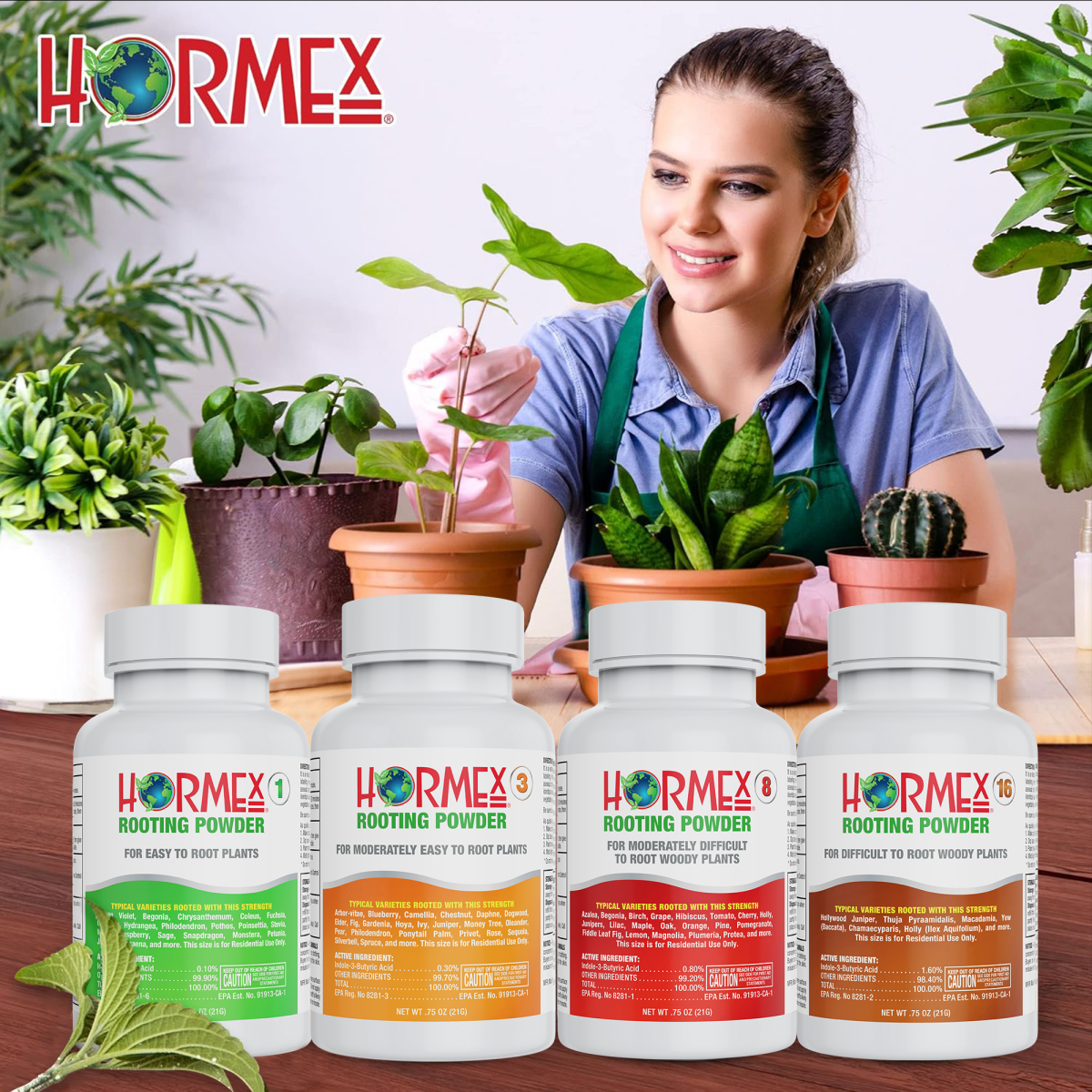 Hormex Rooting Powder #8 (0.8 IBA) - Rooting Hormone – HORMEX