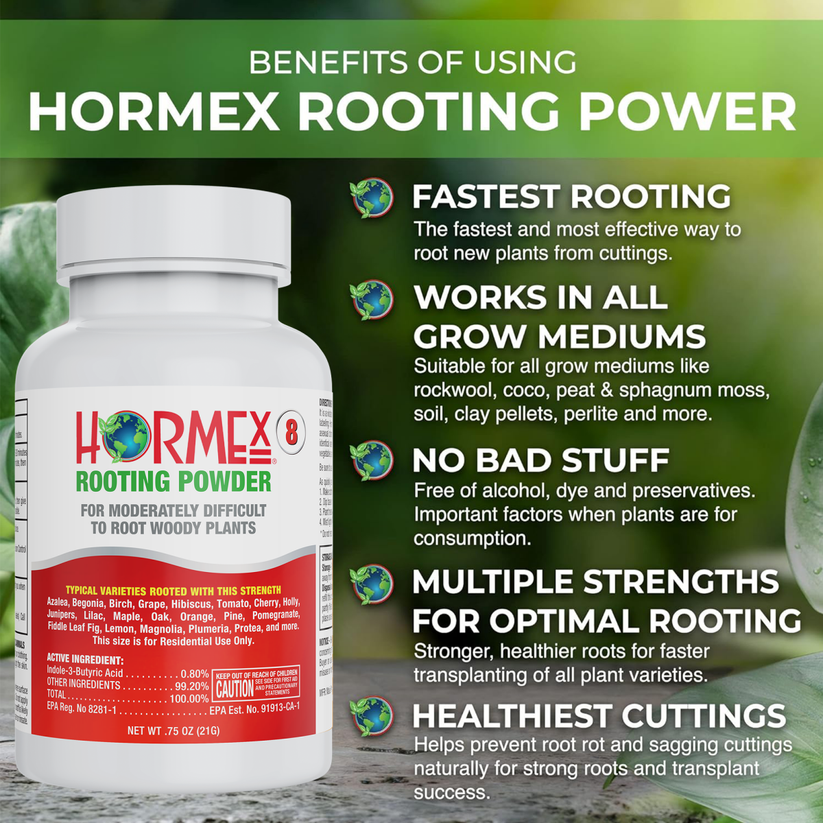 Hormex Rooting Powder #8 (0.8 IBA) - Rooting Hormone – HORMEX