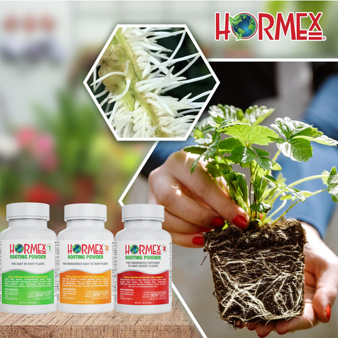 Hormex Rooting Powder Pack #1 3 8 - Rooting Hormone – HORMEX